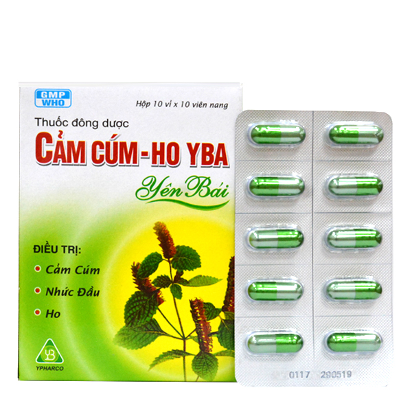 CẢm CÚm Ho Yba Bepharco