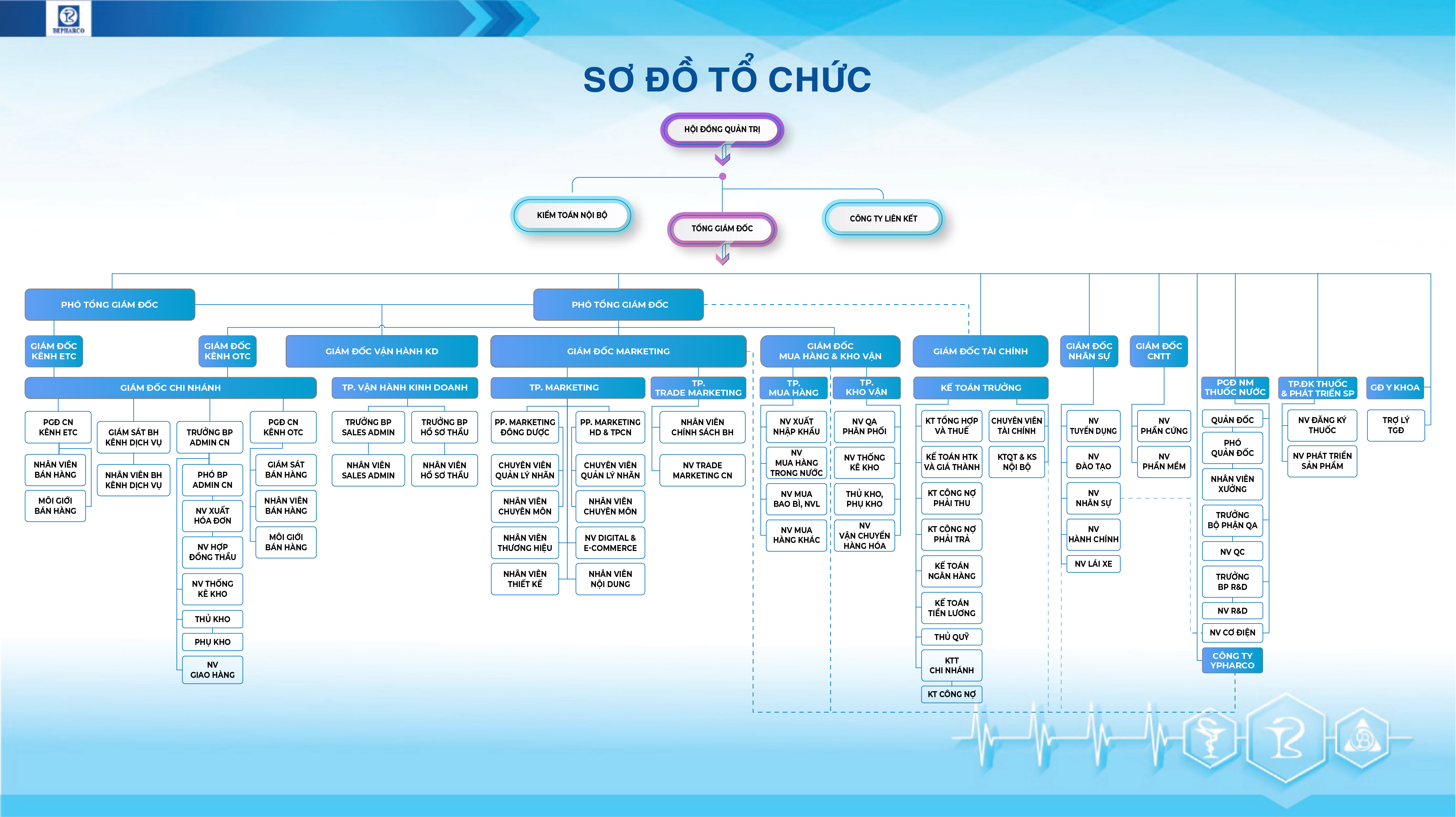 Sơ đồ Tổ Chức Bepharco